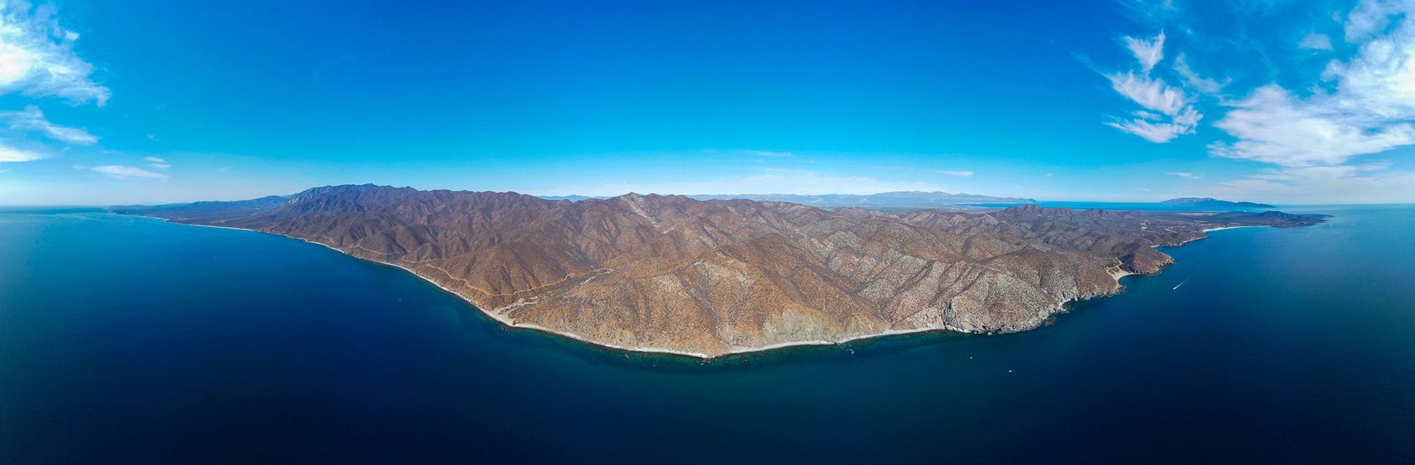 Baja Fly Fishing Report - Summer Season 2021 | FlyFishMex