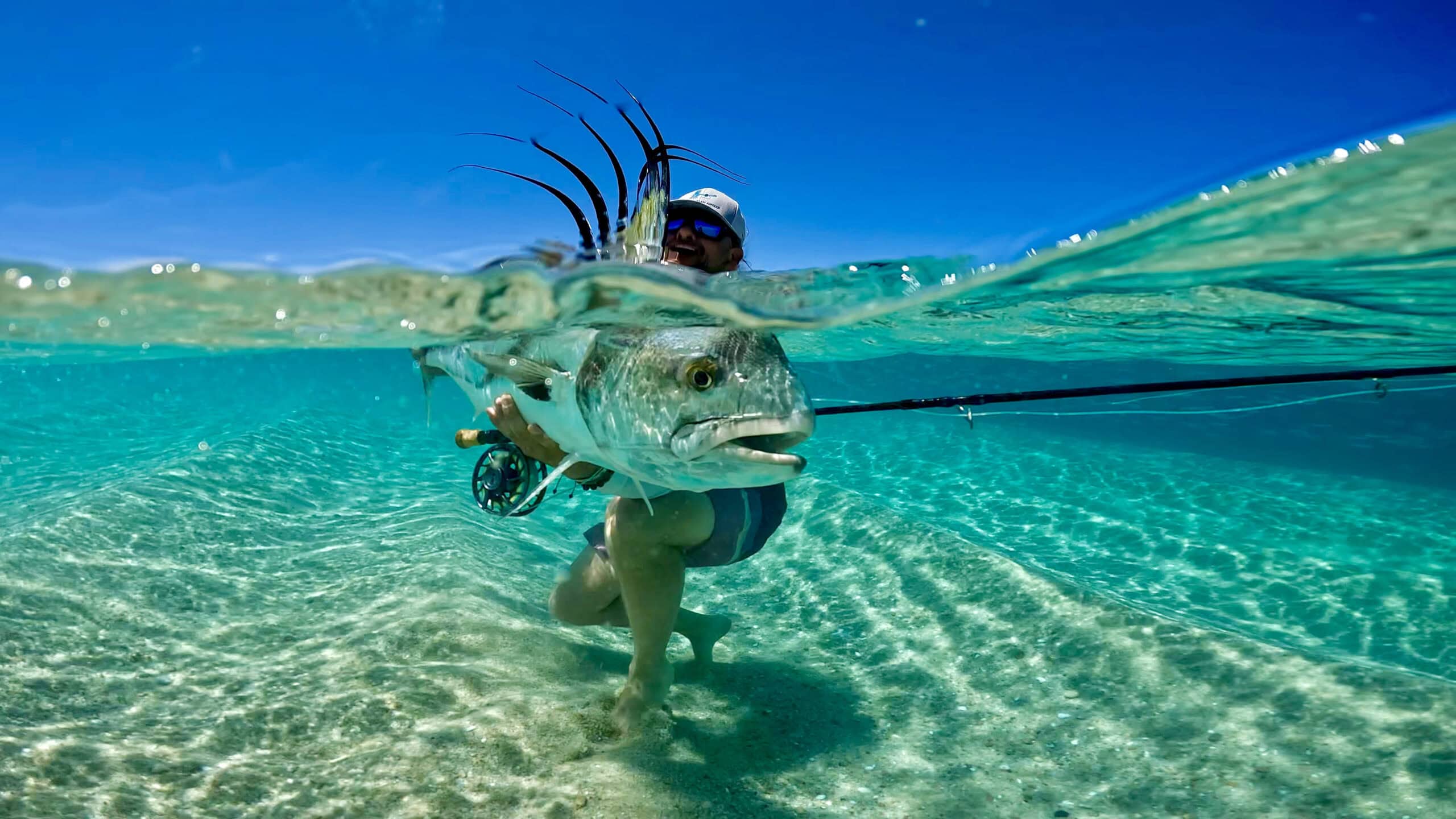 Mag Bay Fly Fishing for Marlin, Tuna, Dorado, and Roosterfish