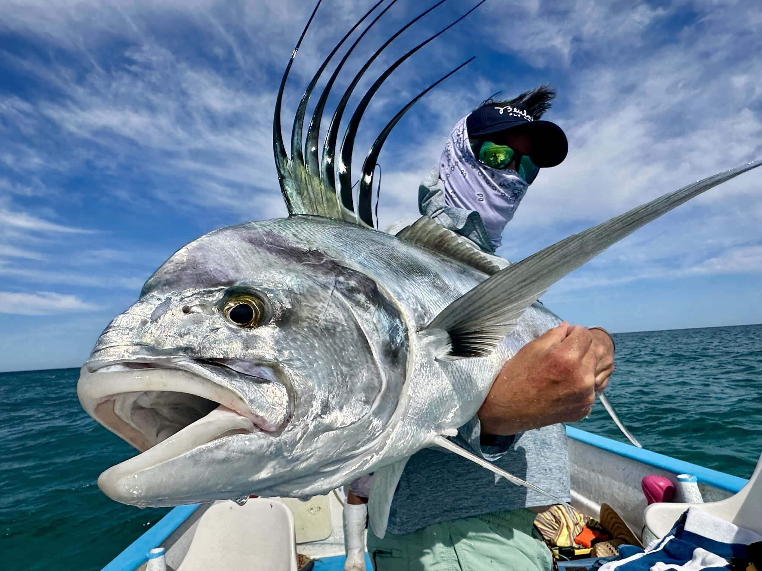 Mag Bay Fly Fishing for Marlin, Tuna, Dorado, and Roosterfish