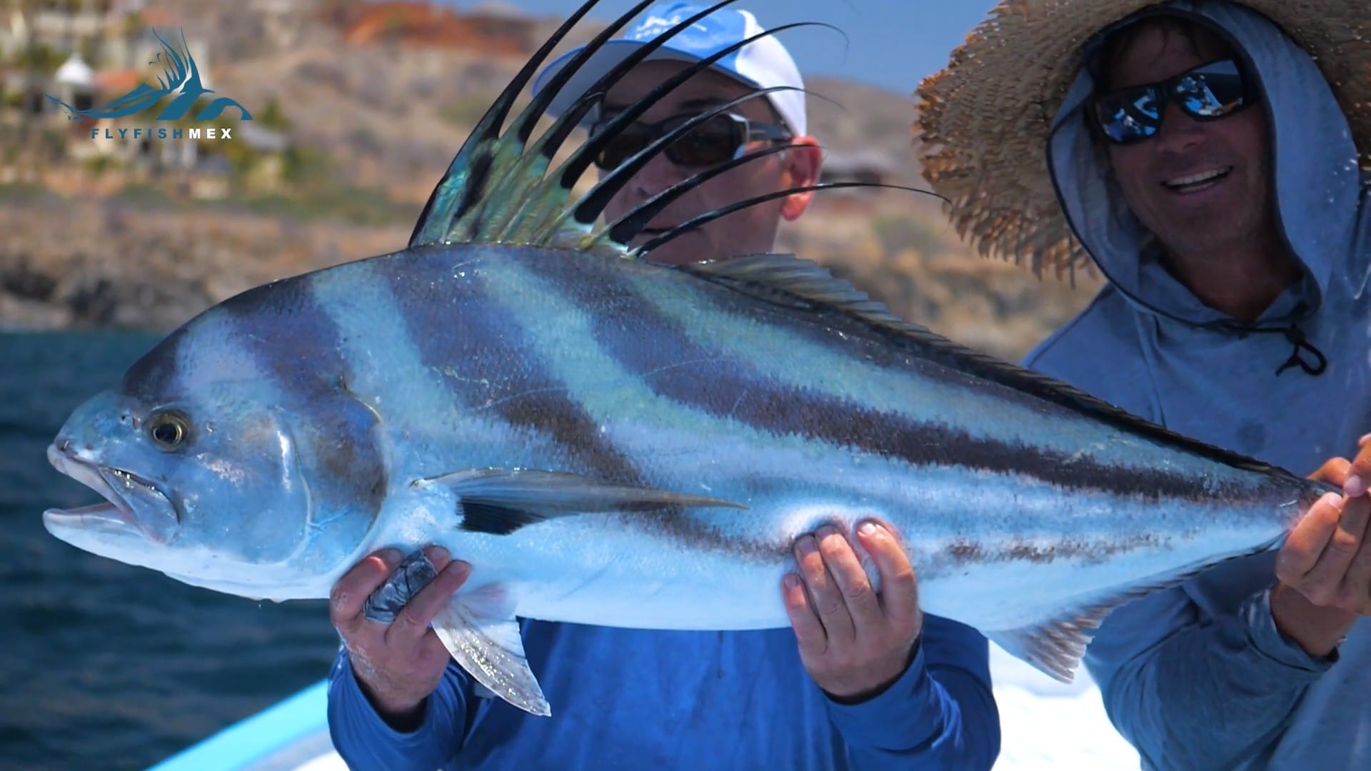 Roosterfish and Jack Fly Fishing Baja